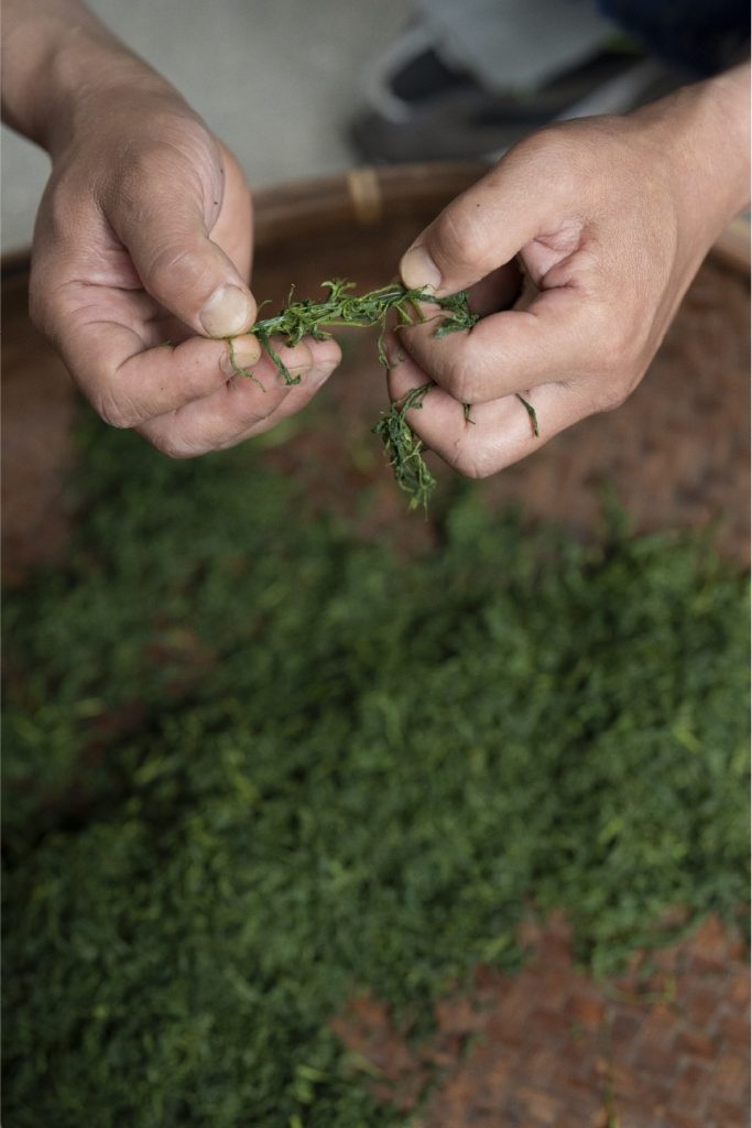Authentic Japanese Tea Experience | Oga Tea Dining